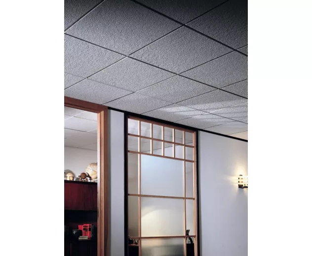 Eclipse™ Illusion™ Acoustical Panels | Drop Ceiling Panel | CGC