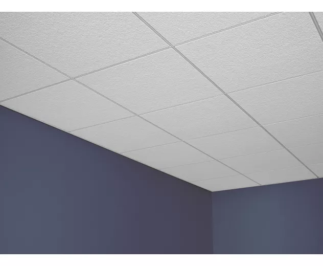 Eclipse™ Acoustical Panels for Noise Reduction | Acoustical Ceiling ...