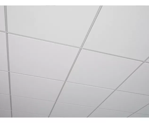 Mars™ Acoustical Panels | Commercial Ceiling Panel | CGC