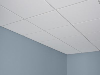 Mars™ High-NRC Noise Reduction Acoustical Panels | Acoustical Ceiling ...