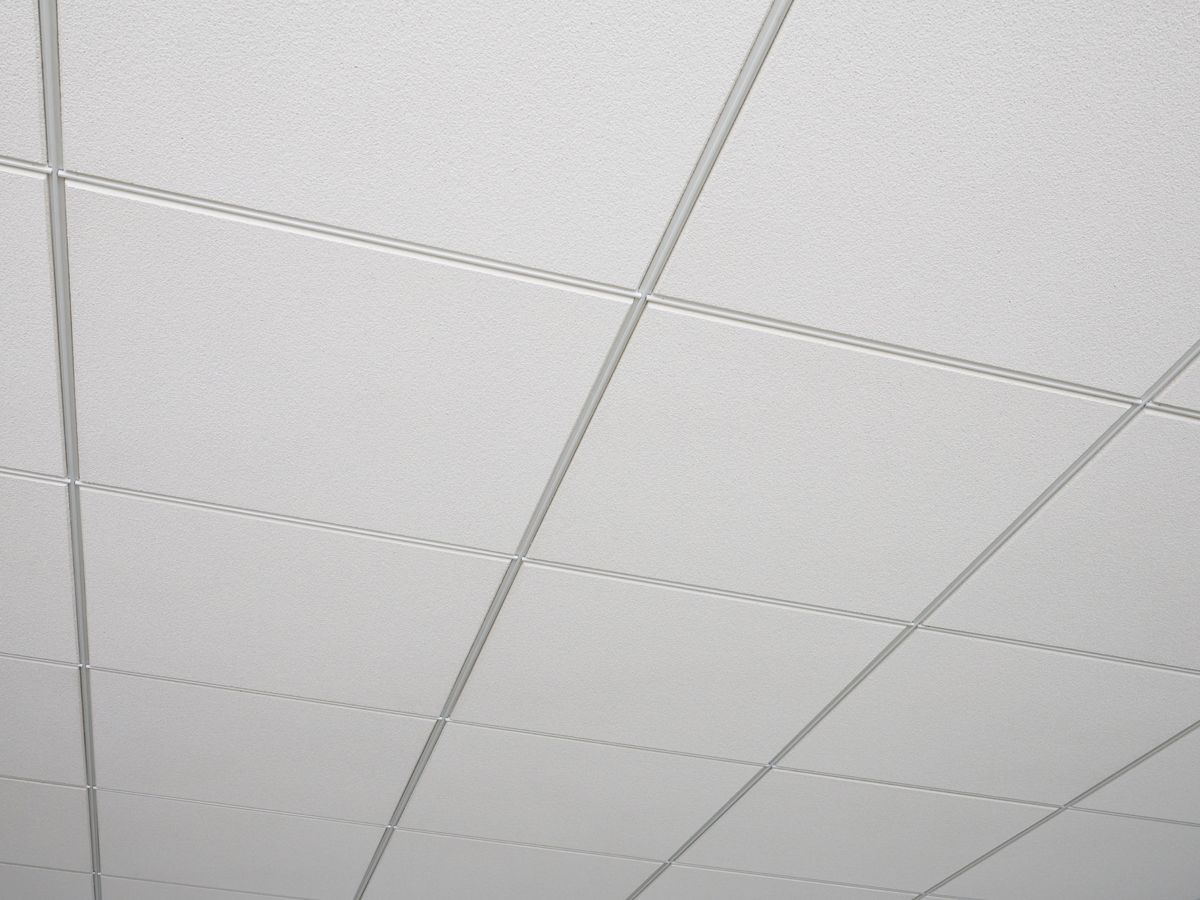 Olympia™ Micro™ Illusion™ Acoustical Panels | Smooth Ceiling Panels | CGC
