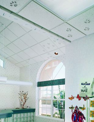 Renditions™ Animations Frost™ Acoustical Panels | CGC