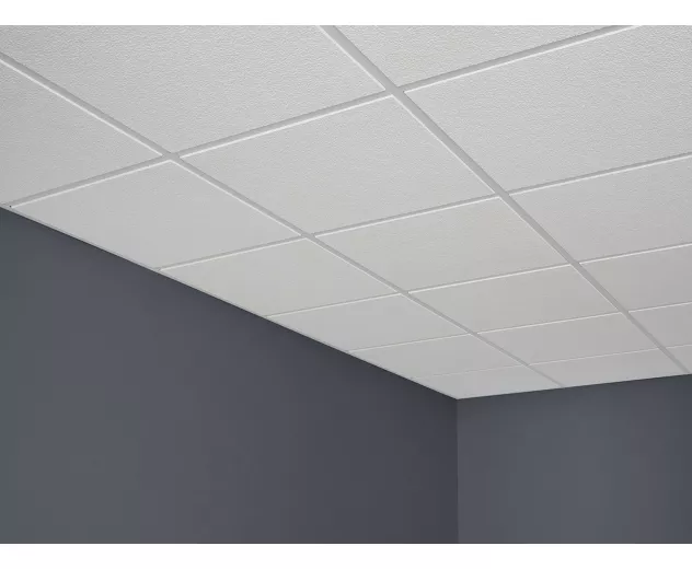 Touchstone™ Acoustical Panels | Medium Texture Ceiling Panels | USG