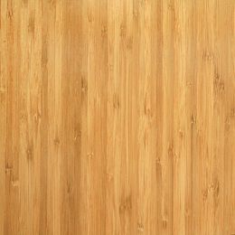 True® Wood Linear Planks | USG