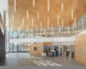 True® Wood Panels | USG