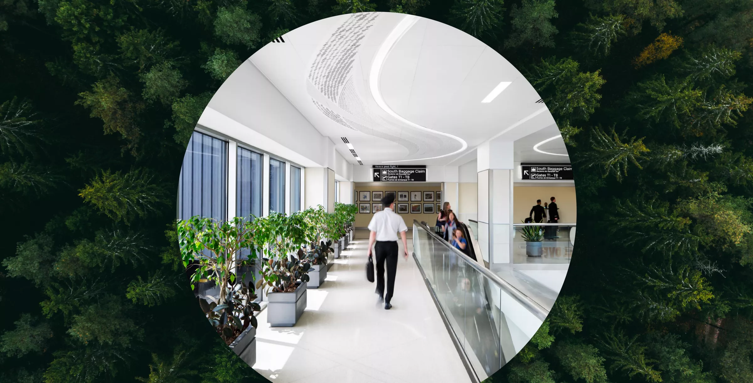 Drywall, Ceiling, Subfloor, Substrate, and Building Envelope ...