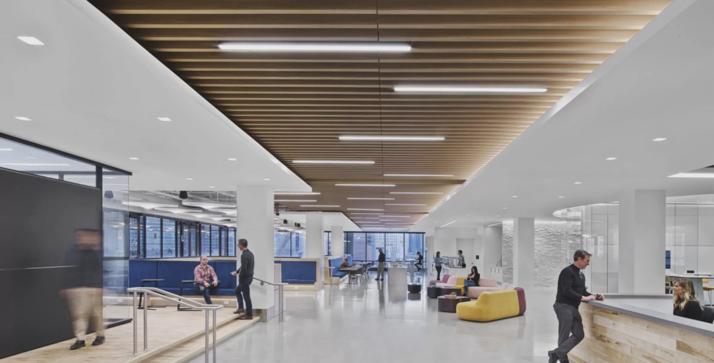 Ceilings Plus, Innovative Standard and Tailored Commerical Ceiling ...