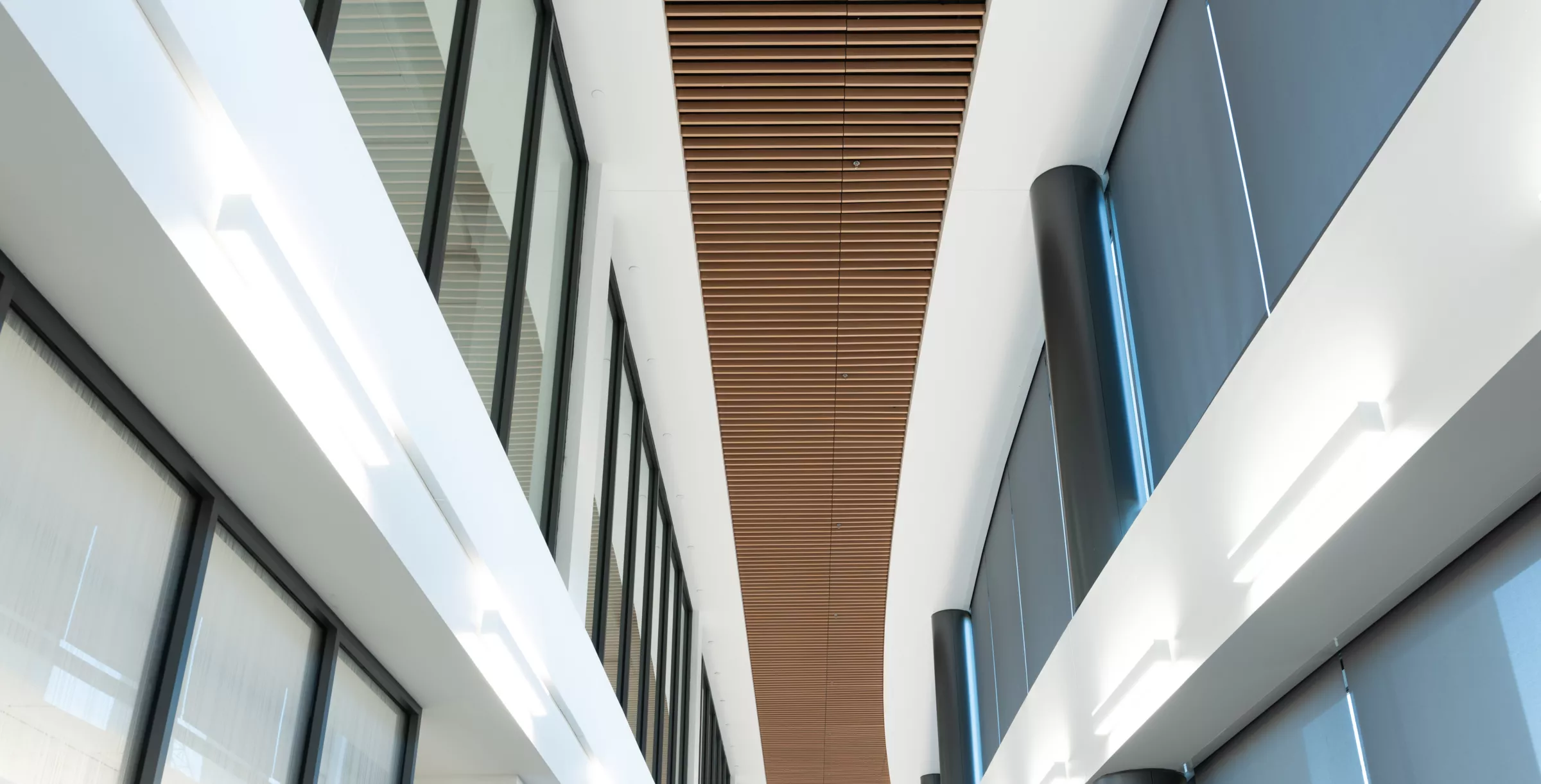 Education Project Inspiration Gallery | CGC