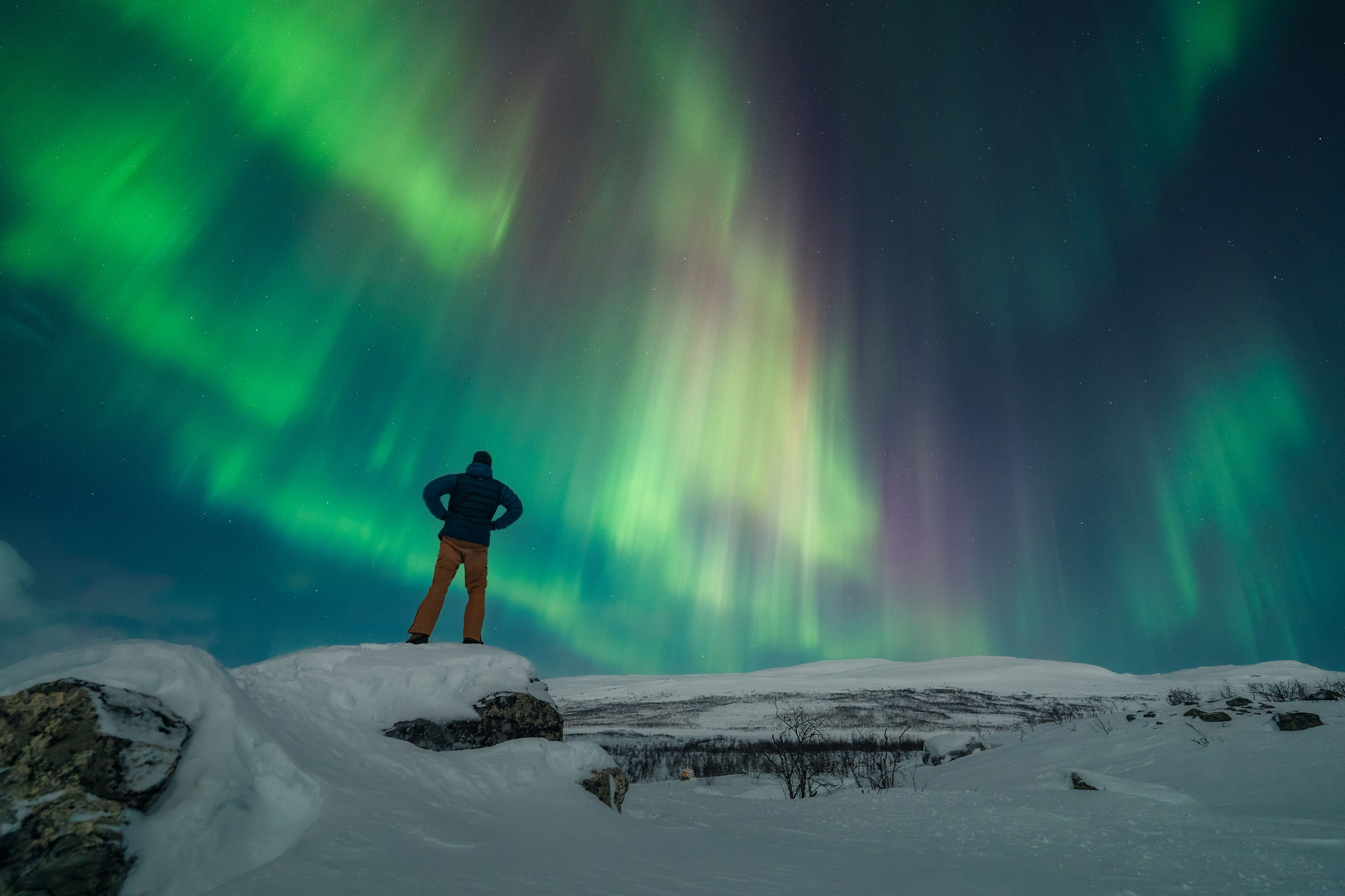 Northern Lights Cruises: Explore Norway & Beyond | Viking®