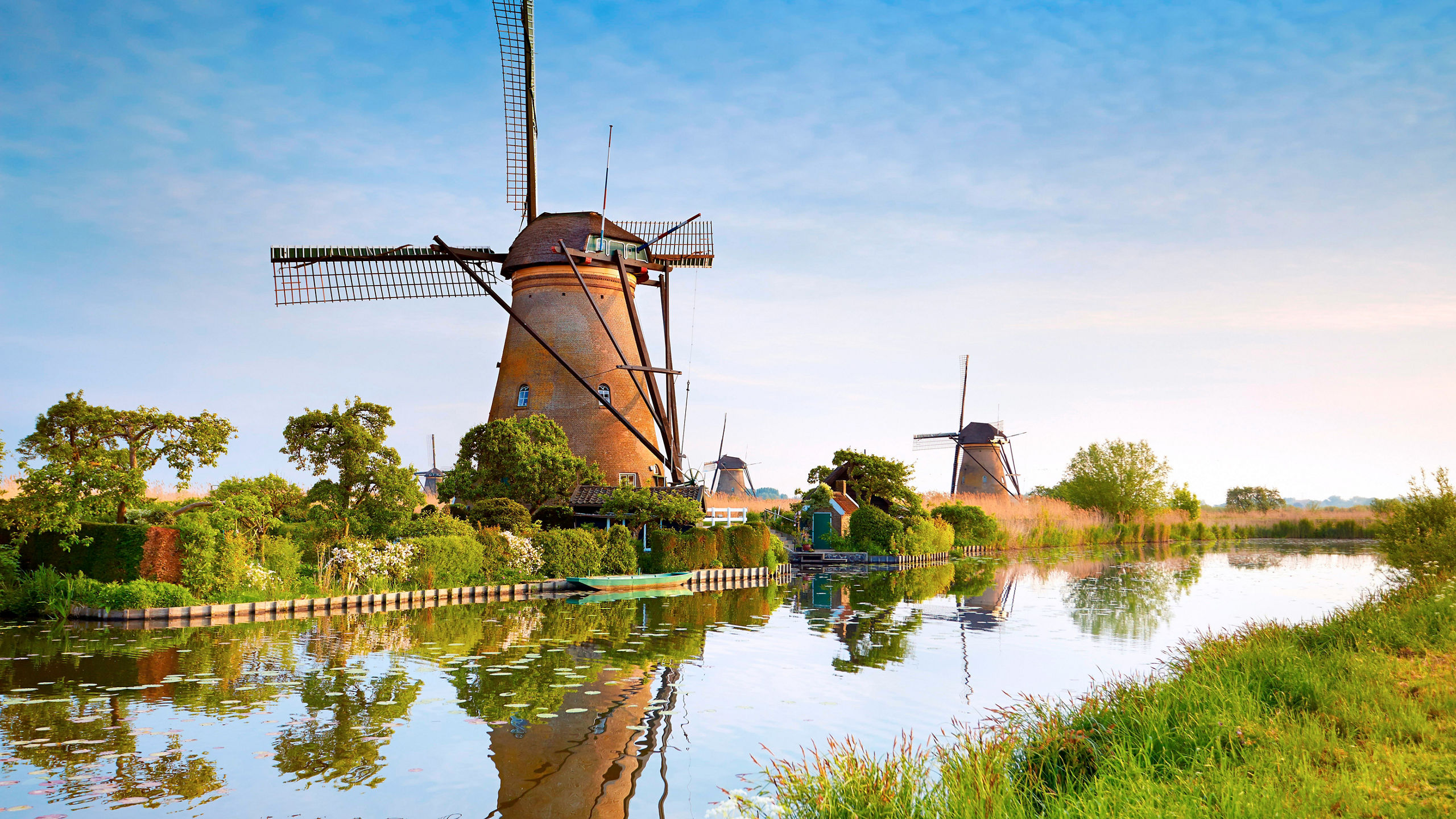 About the Rhine River: History, Culture & Cuisine | Viking®