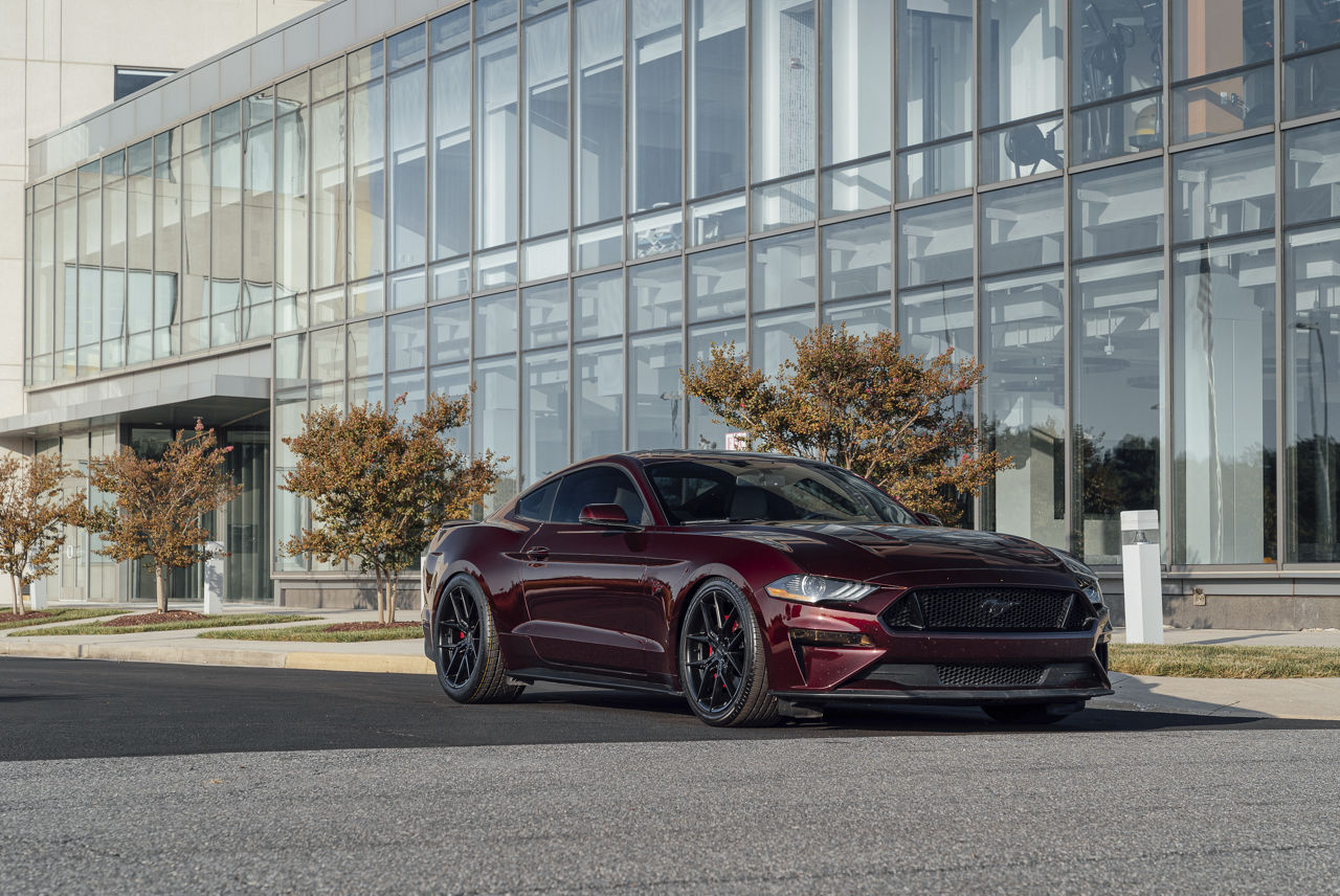 2018 Ford Mustang GTR - Niche PRODIGY 5 - Black | Niche Road Wheels