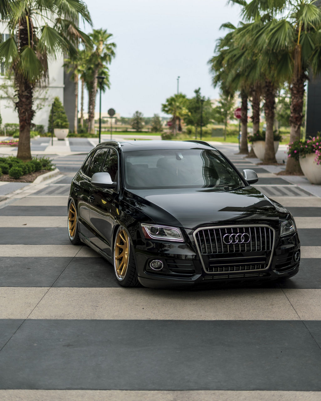 2014 Audi Q5 - Rotiform OZT - Gold | Wheel Pros