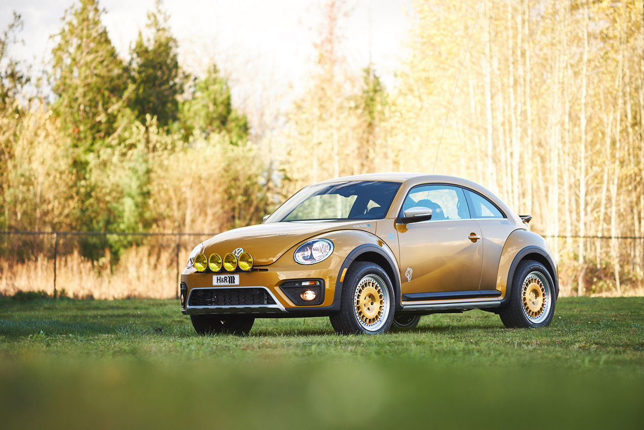 2016 Volkswagen Beetle - Rotiform VCE - Gold | Rotiform