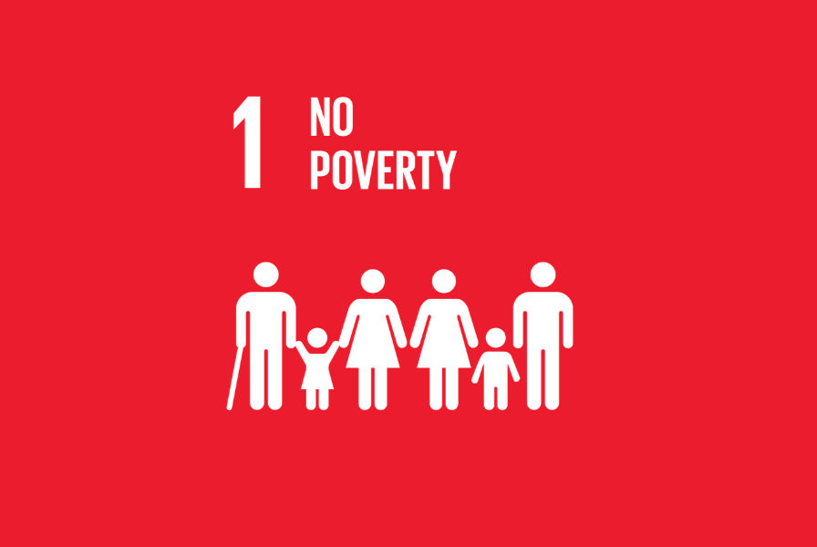 Sustainable Development Goals | Wiley