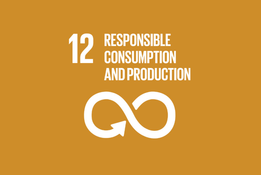 Goal 12: Responsible Consumption and Production