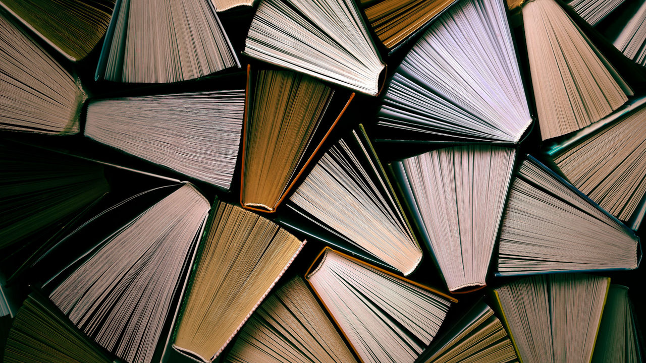 Professional Development & Growth